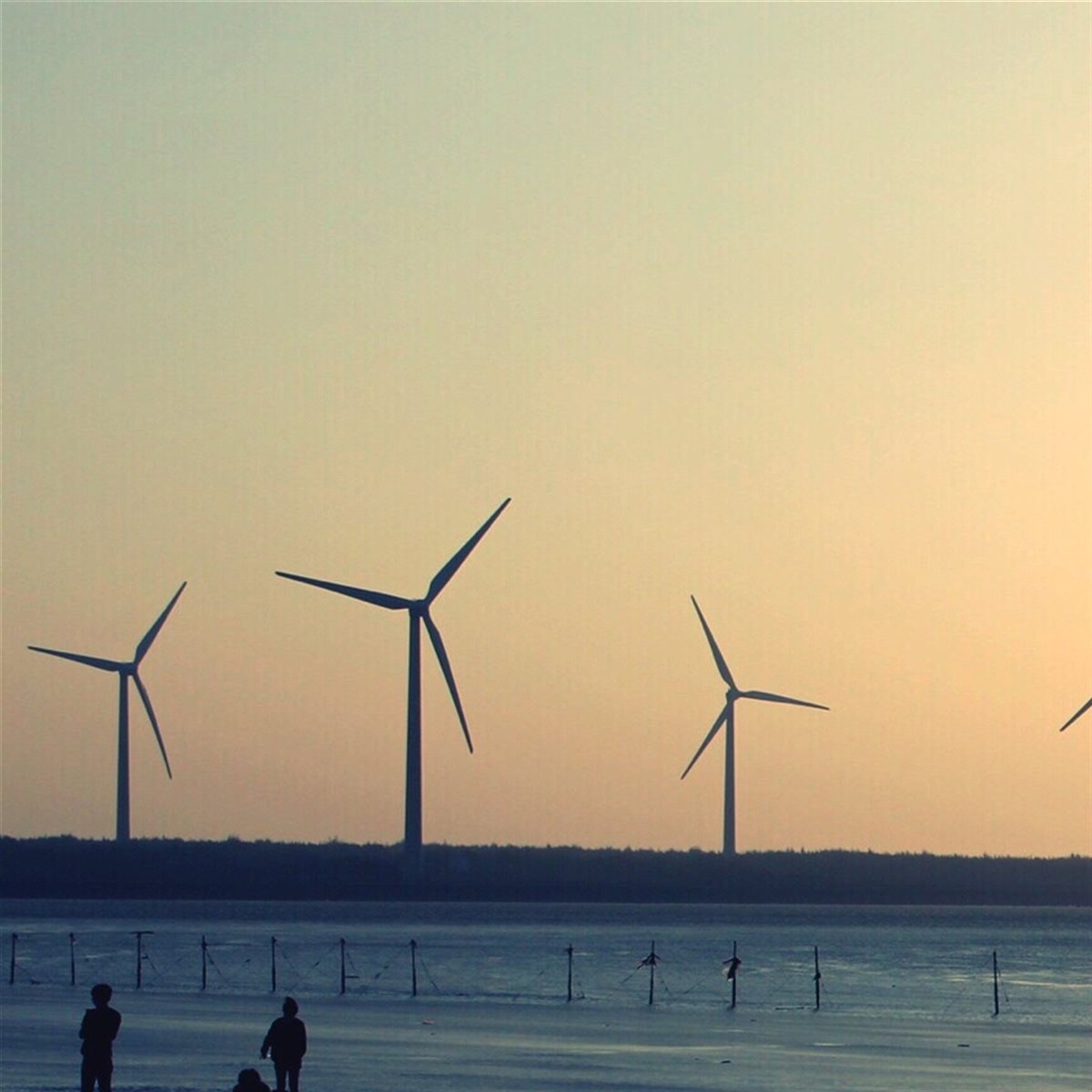 Nieuws - TNO Offshore Wind Measurements